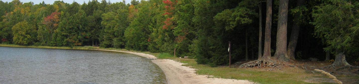 Spectacle Lake Campground | The Dyrt