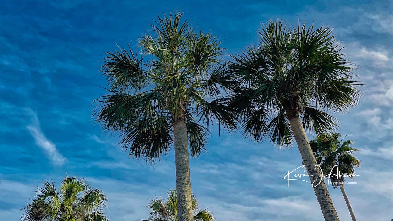 Carrabelle Beach RV Resort | Carrabelle, Florida