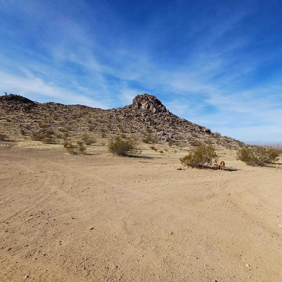 Ord Mountain Dispersed Camping | Daggett, California
