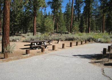 Heart Bar Campground Camping | The Dyrt