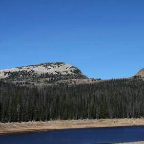 Trial Lake Campground Camping | The Dyrt