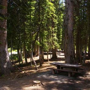 Tony Grove Campground Camping | The Dyrt