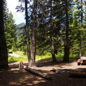 Tony Grove Campground Camping | The Dyrt