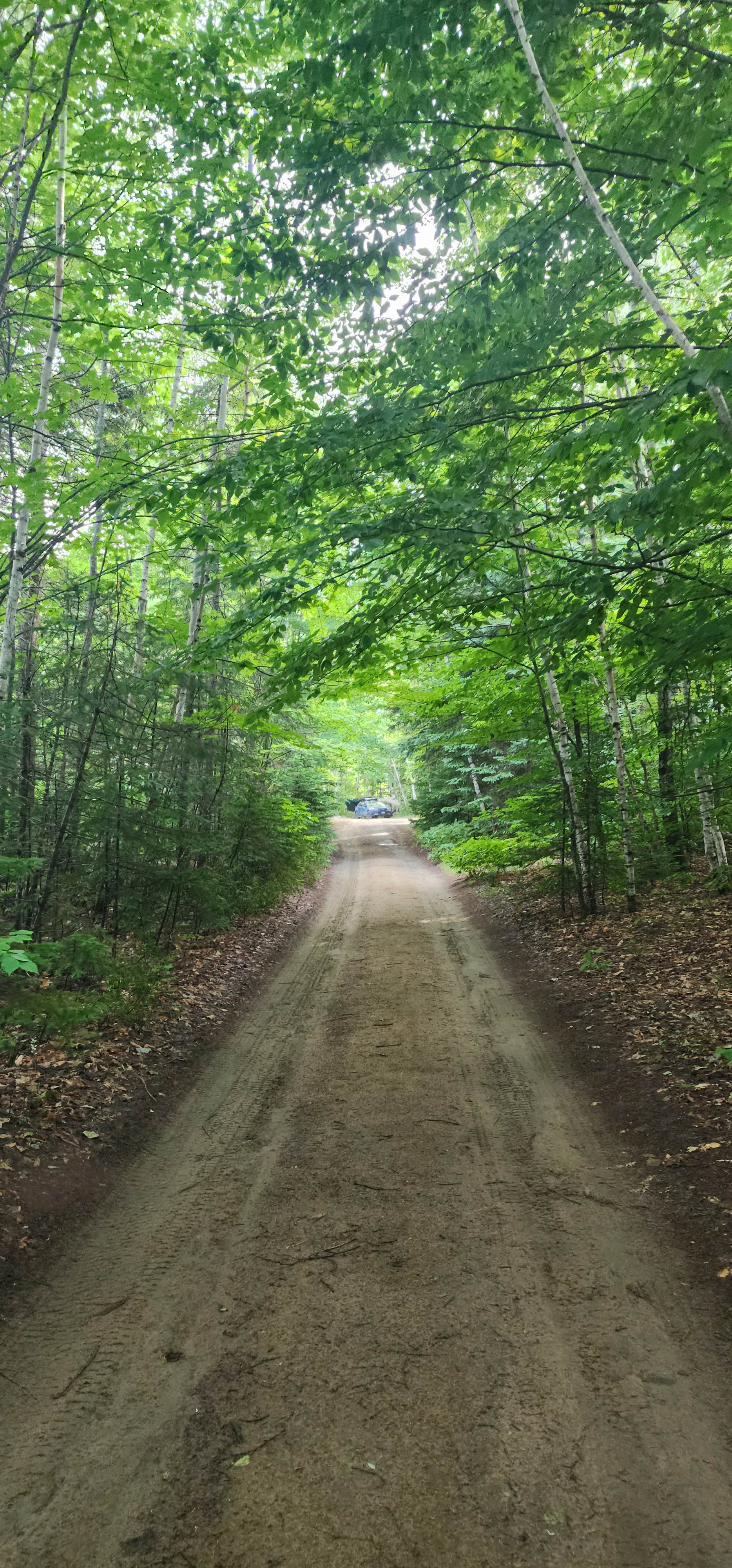 Trout Brook Campground | Stratton, ME