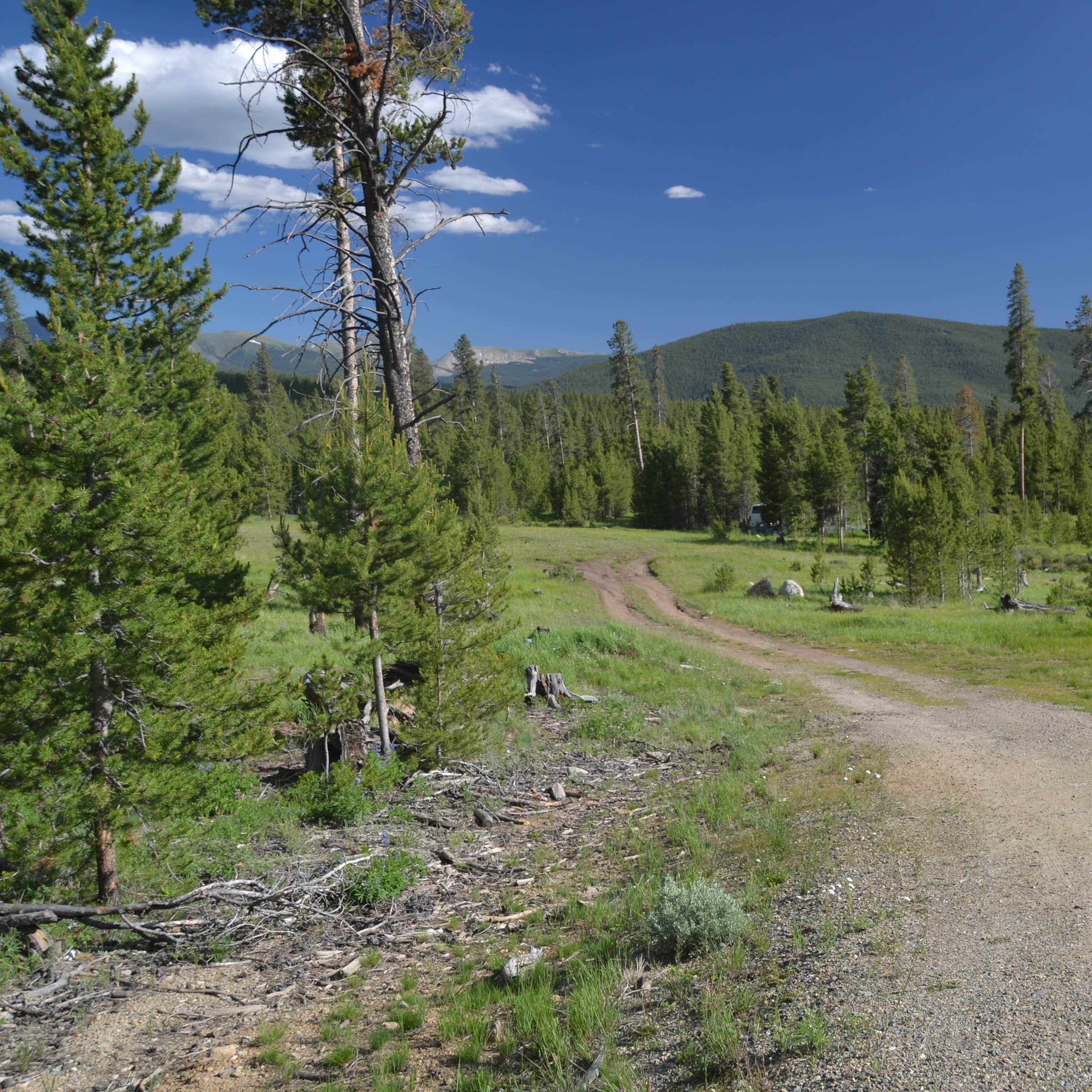 Taylor Reservoir Dispersed Camping | Pitkin, Colorado