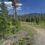 Taylor Reservoir Dispersed Camping | Pitkin, Colorado
