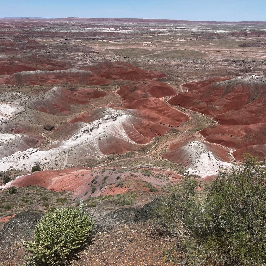 Holbrook/Petrified Forest KOA Camping | Holbrook, AZ