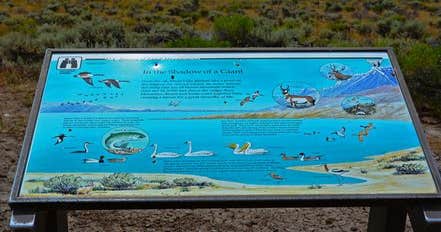Mann Lake Recreation Site Camping | Diamond, Oregon