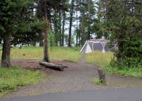 Bridge Bay Campground Camping | The Dyrt