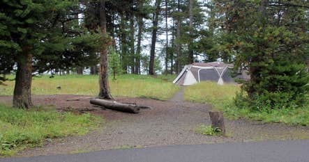 Bridge Bay Campground — Yellowstone National Park | West Yellowstone ...