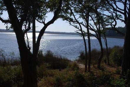 Oyster Point Campground | New port, NC