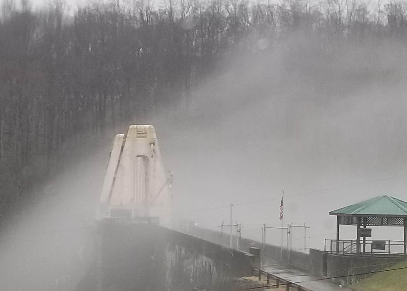 Bush Recreation Area Camping | The Dyrt