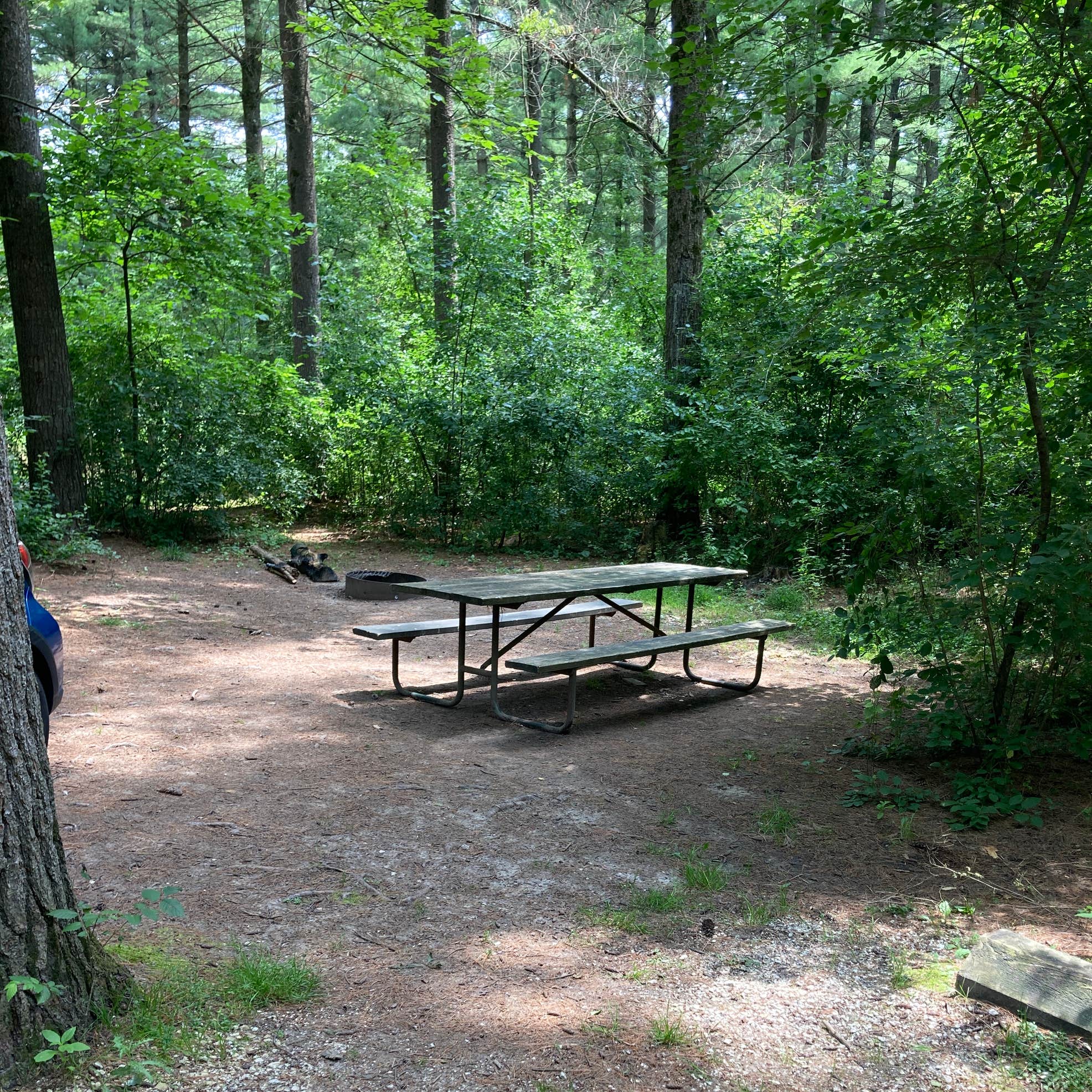 Pinewoods Campground — Kettle Moraine State Forest-Southern Unit ...