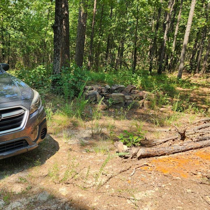 Girard Rd/Forest Road 20 Dispersed, Ouachita National Forest, AR ...