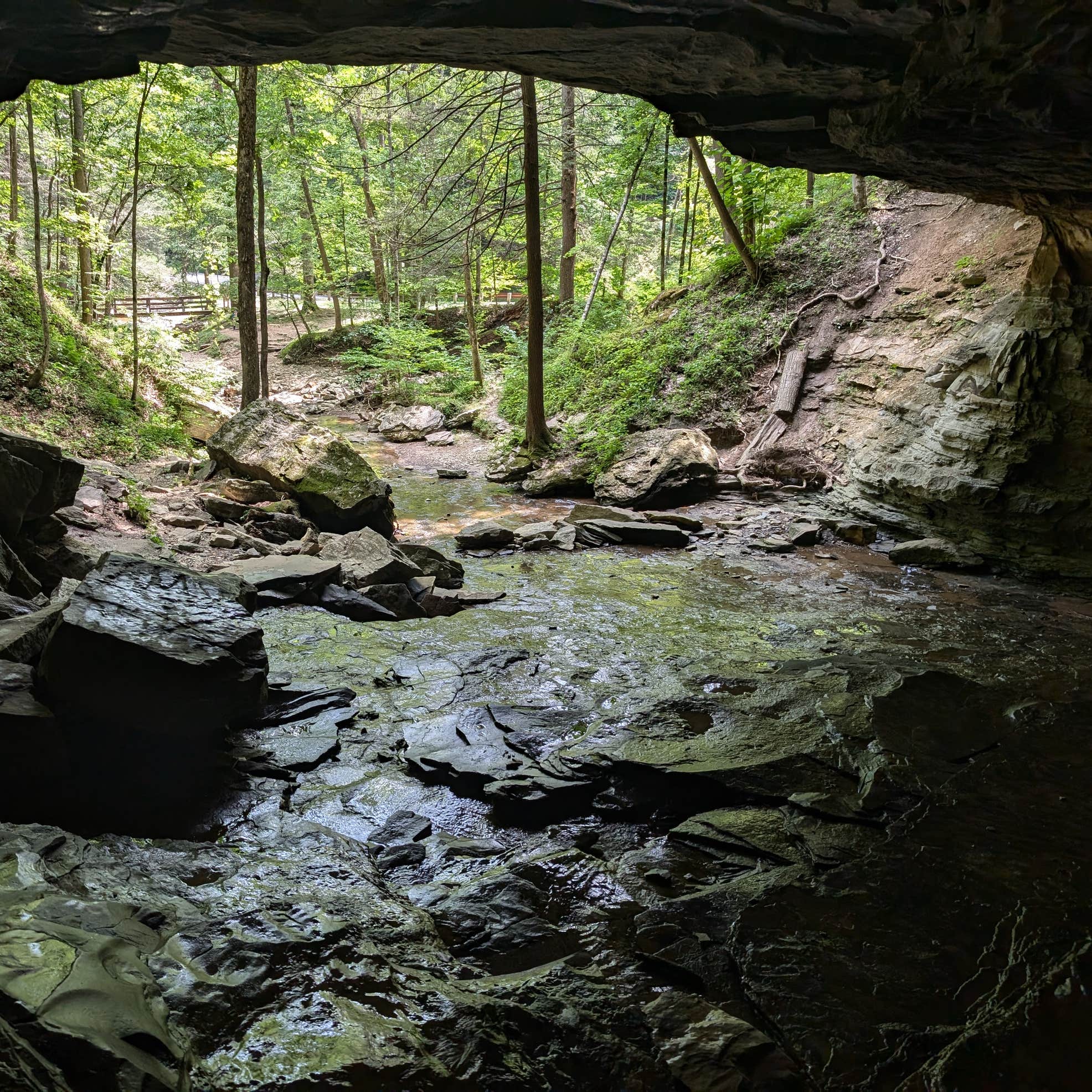 Carter Caves State Resort Park Campground | Olive Hill, Kentucky