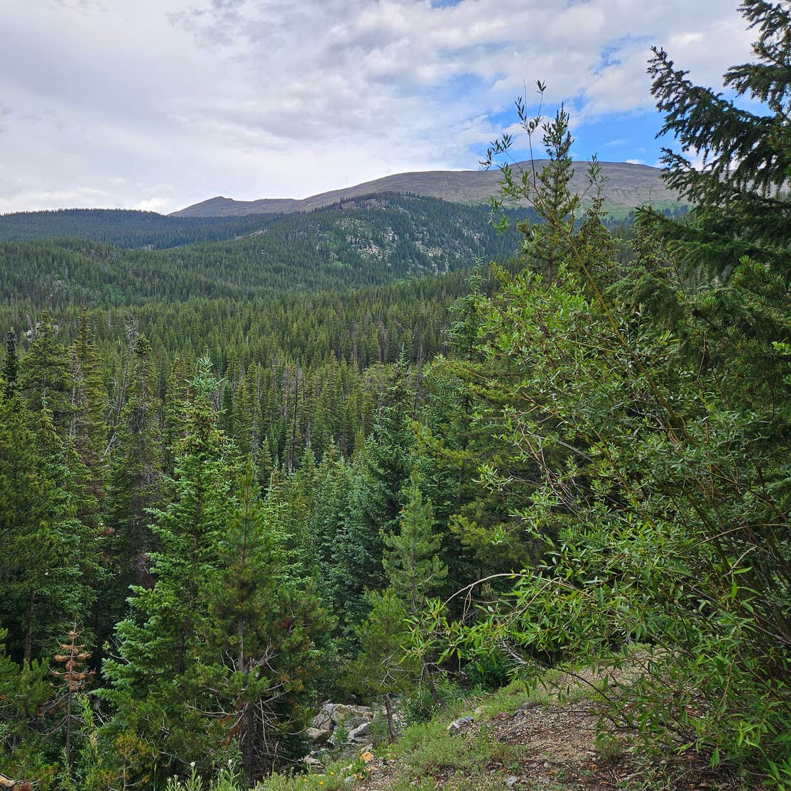 Homestake Reservoir Rd Milemarker 3 - Dispersed Camping | Red Cliff ...