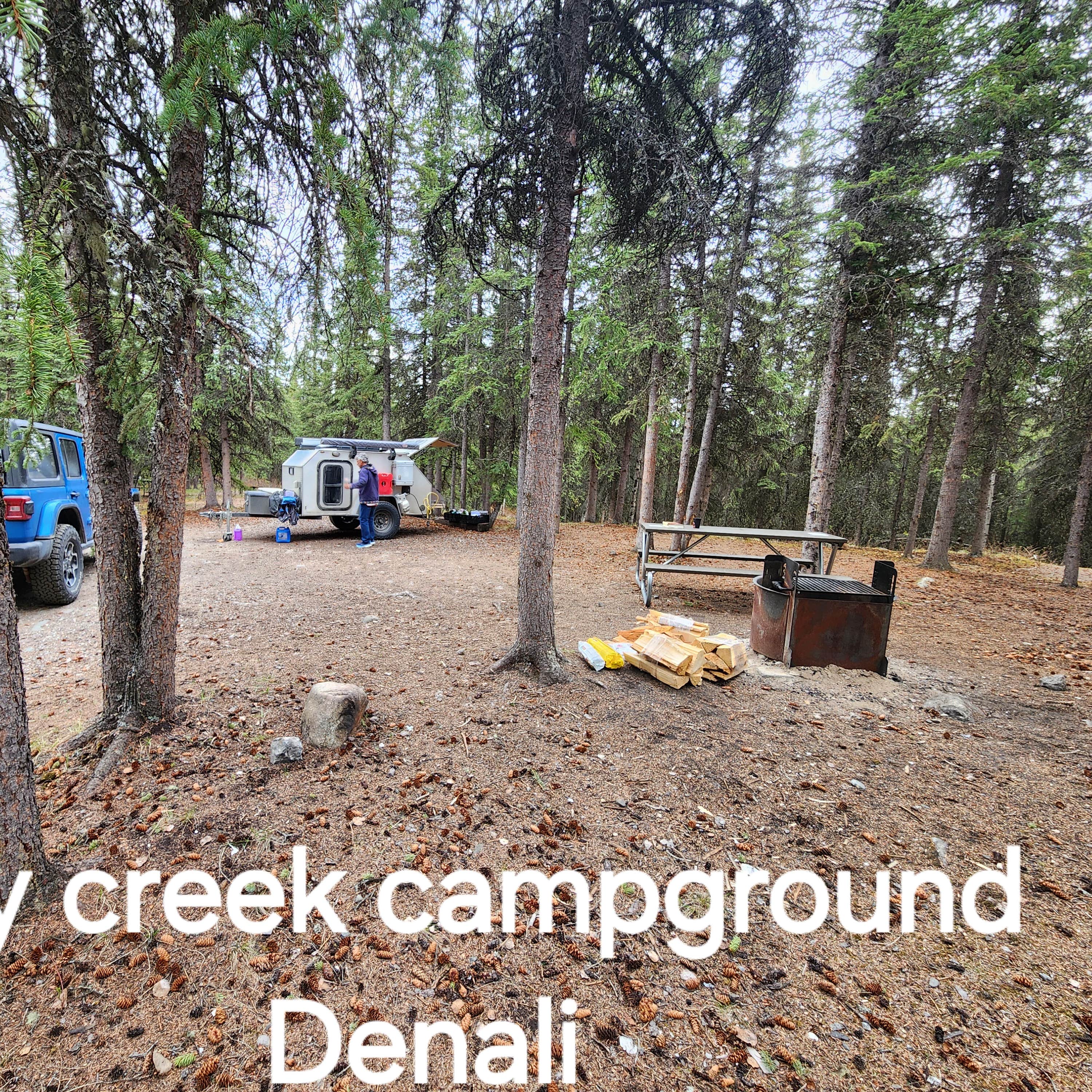 Riley Creek Campground — Denali National Park | Healy, Alaska