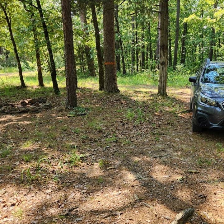 Jack Creek Rd Pull Thru Dispersed, Ouachita National Forest, AR Camping | Blue Mountain, AR