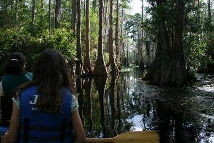 Okefenokee National Wildlife Refuge Camping | The Dyrt