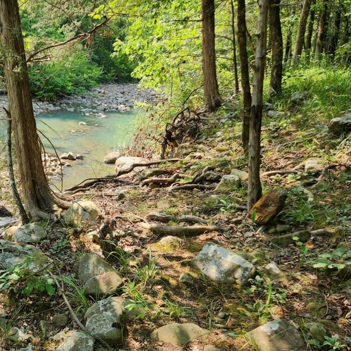 Jack Creek Dispersed, Ouachita National Forest, AR Camping | Blue Mountain, Arkansas