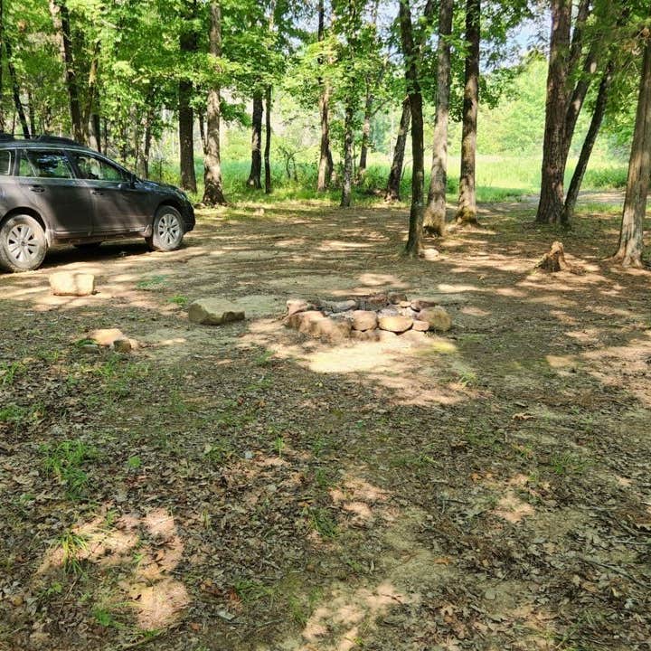 Jack Creek Dispersed, Ouachita National Forest, AR Camping | Blue Mountain, AR