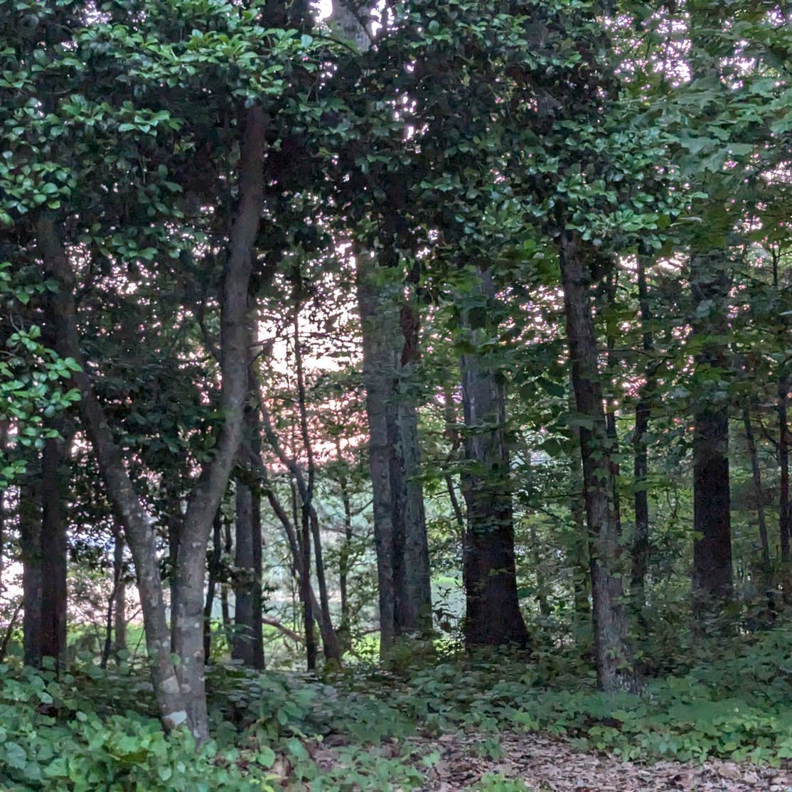 Machicomoco State Park Campground | Millwood, Virginia