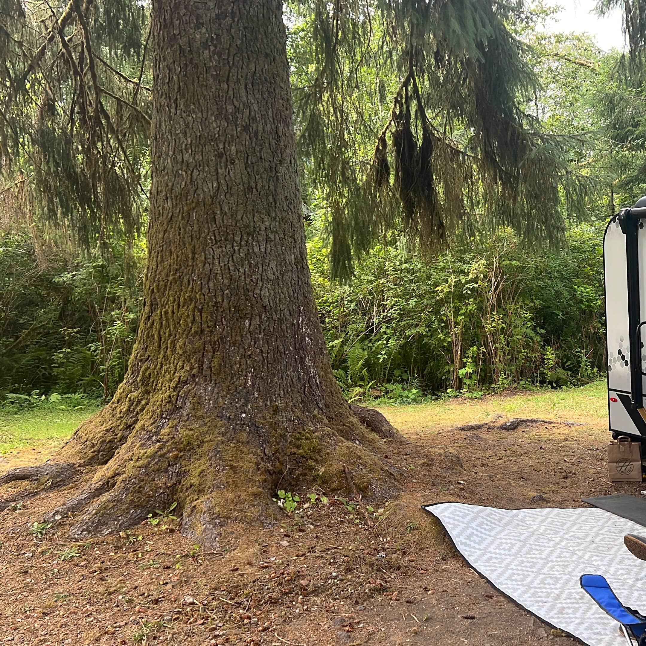 Silver Lake Park Camping | Maple Falls, Washington
