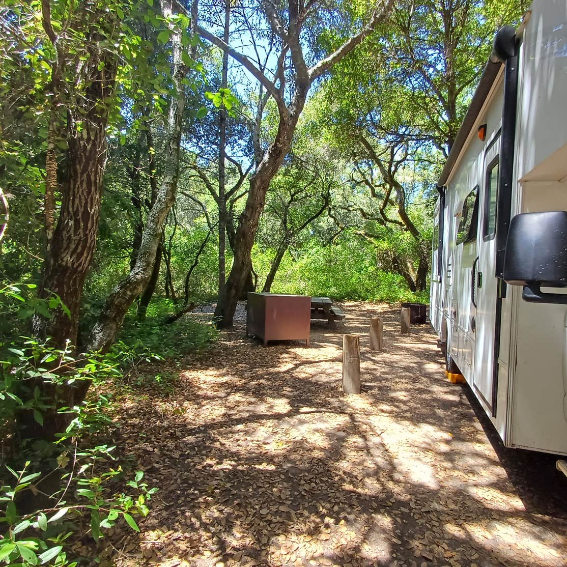 Henry Cowell Redwoods State Park Campground | Mount Hermon, California