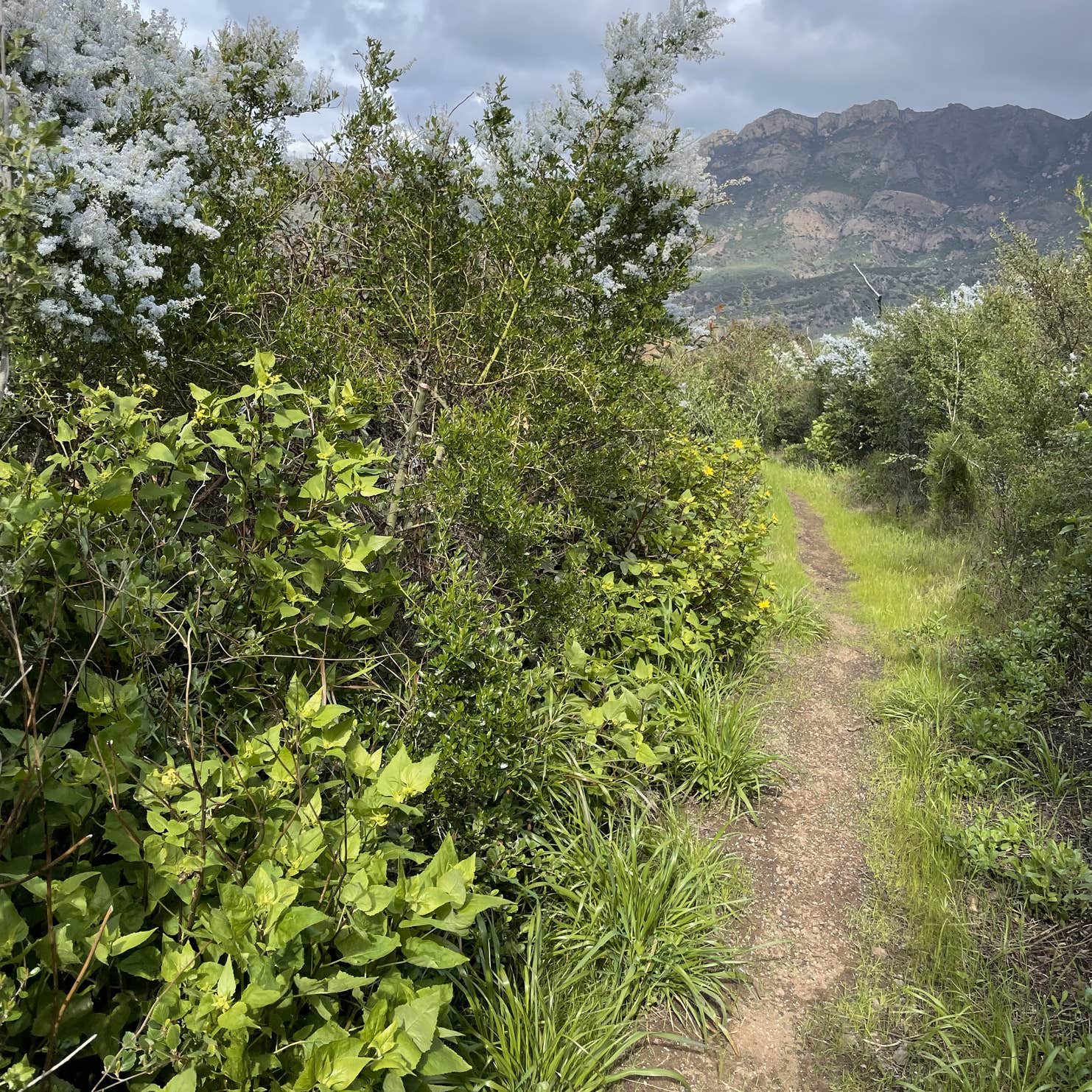 Danielson Group Multi-Use Area Camping | Lake Sherwood, California