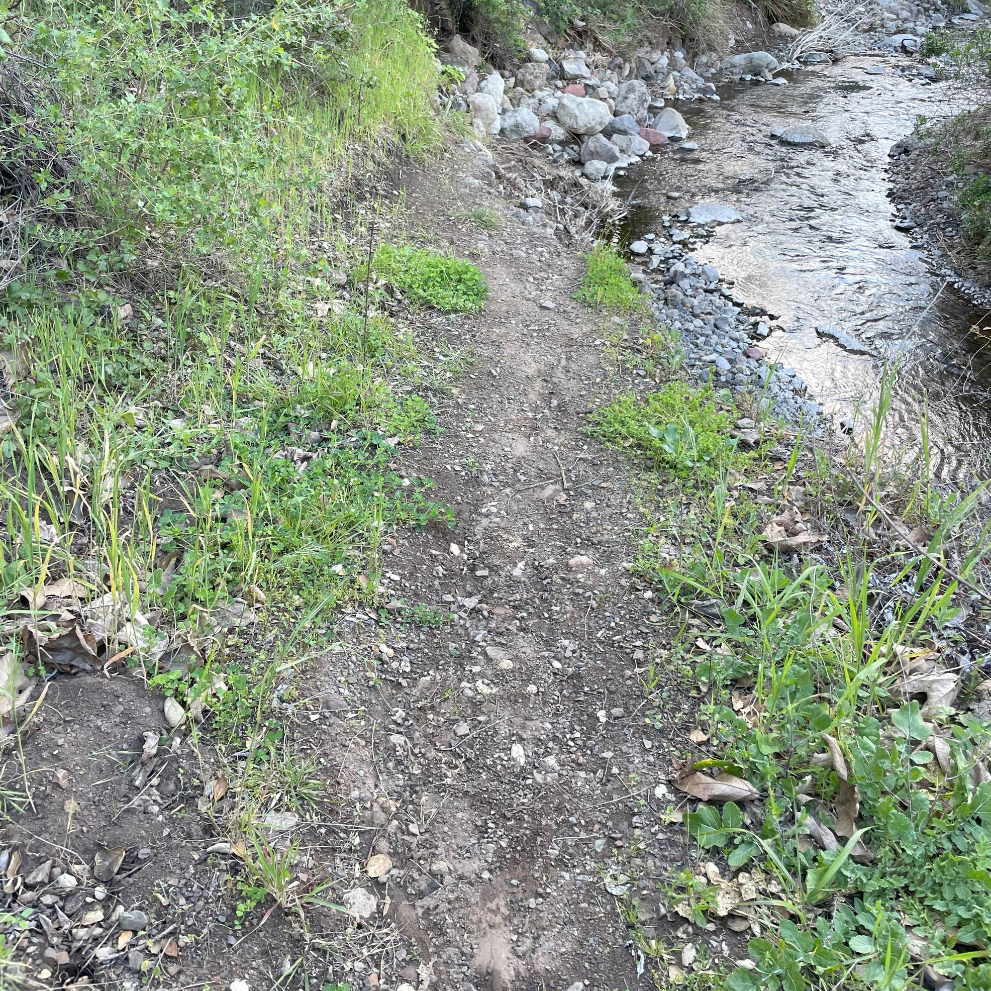 Danielson Group Multi-Use Area Camping | Lake Sherwood, California