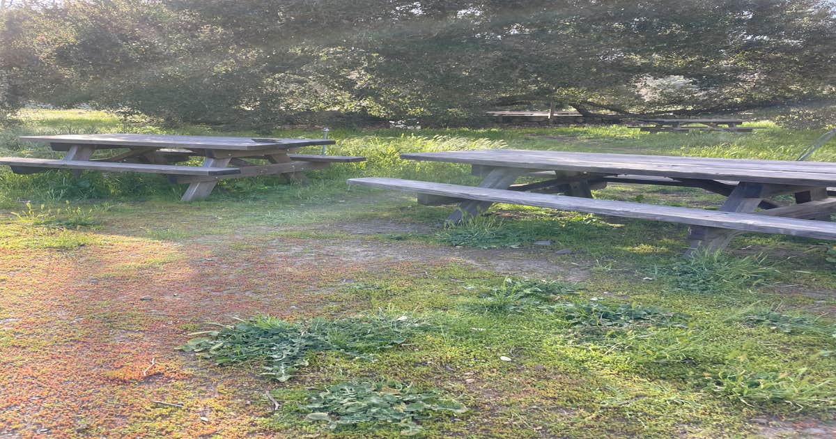 Danielson Group Multi-Use Area Camping | Lake Sherwood, California