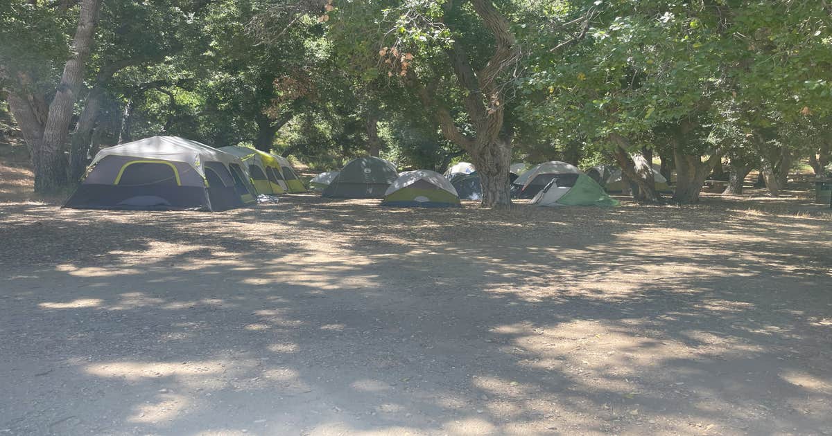 Placerita Canyon State Park Group Campsites | Santa Clarita, California