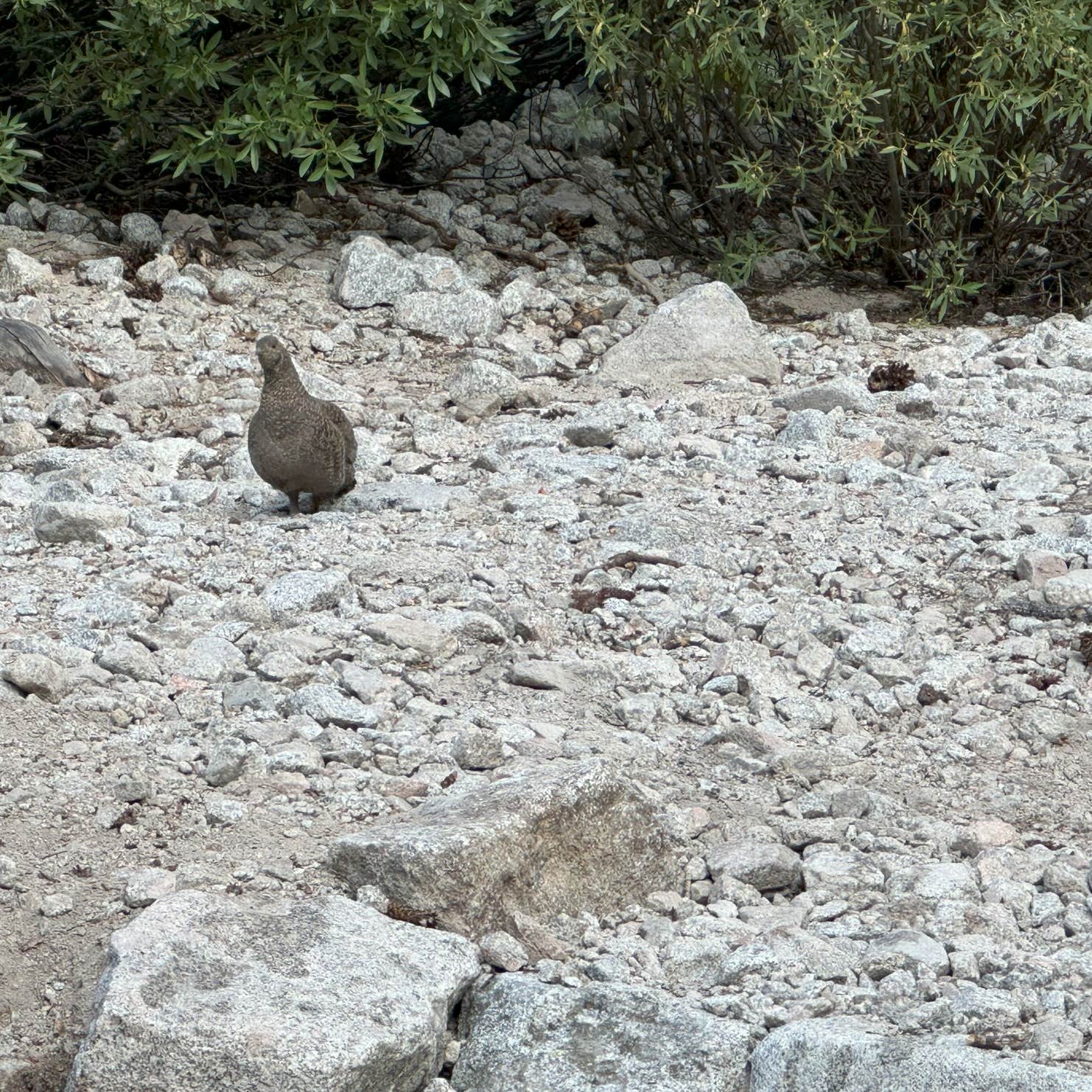 Outpost Camp Dispersed | Alabama Hills, California