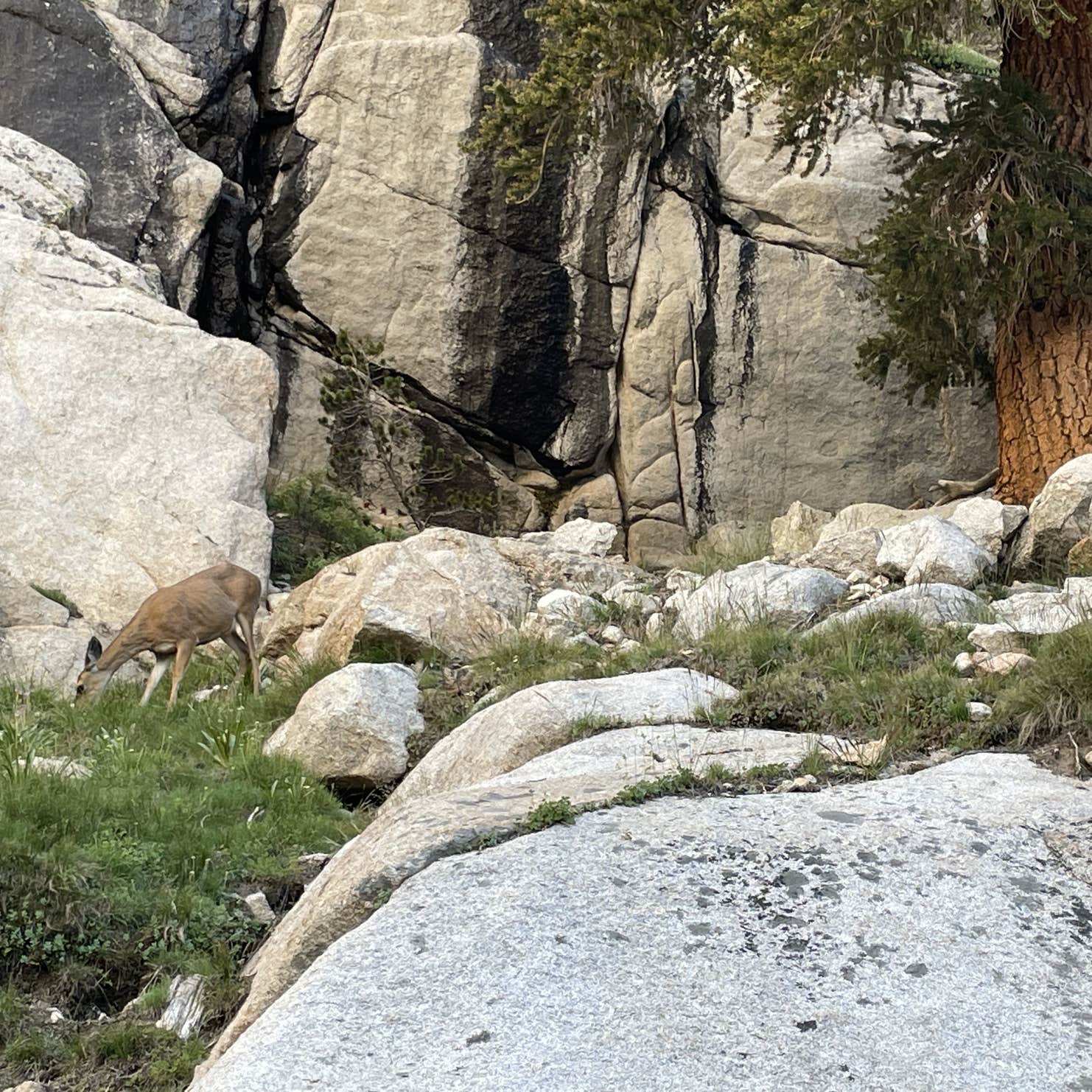 Outpost Camp Dispersed | Alabama Hills, California