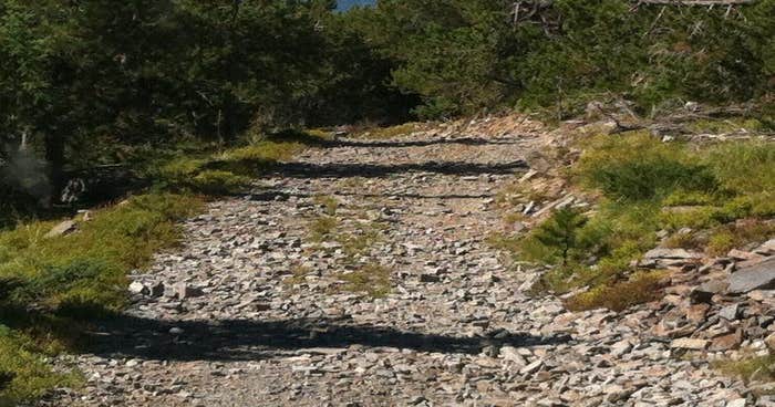 Meadow Peak Lookout (Mt) — Kootenai National Forest Camping | Trout ...