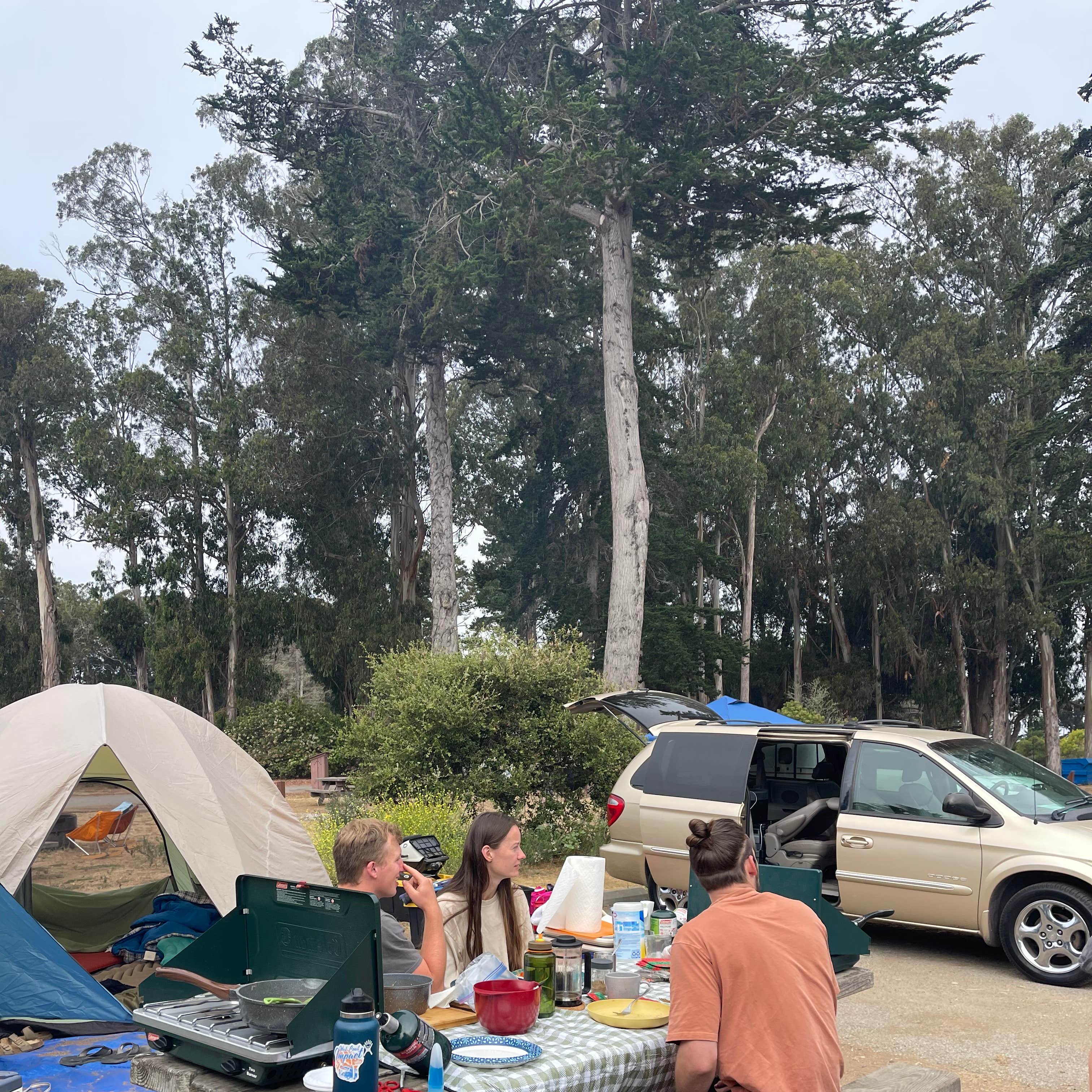 Morro Bay State Park Campground | Los Osos, California