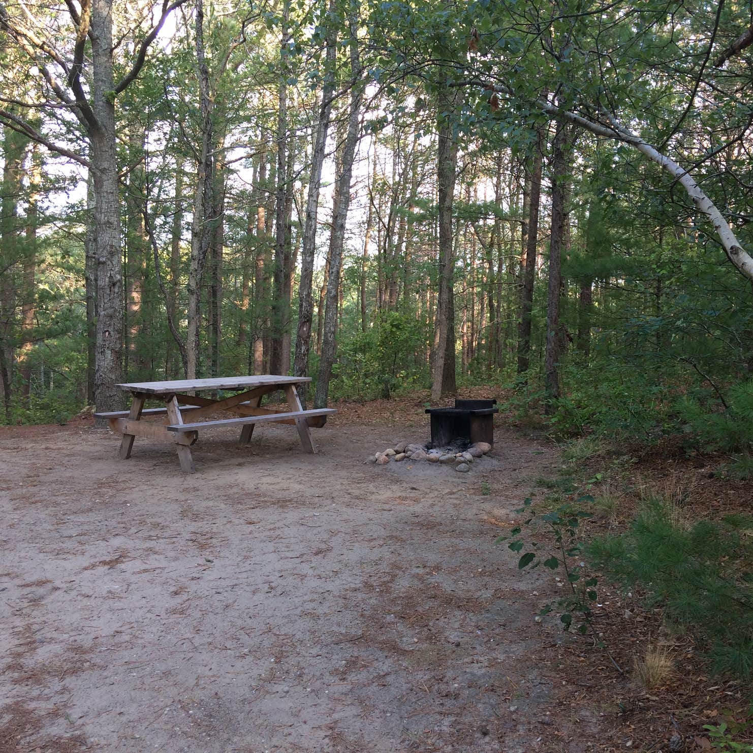 Shawme Crowell State Forest Camping | The Dyrt