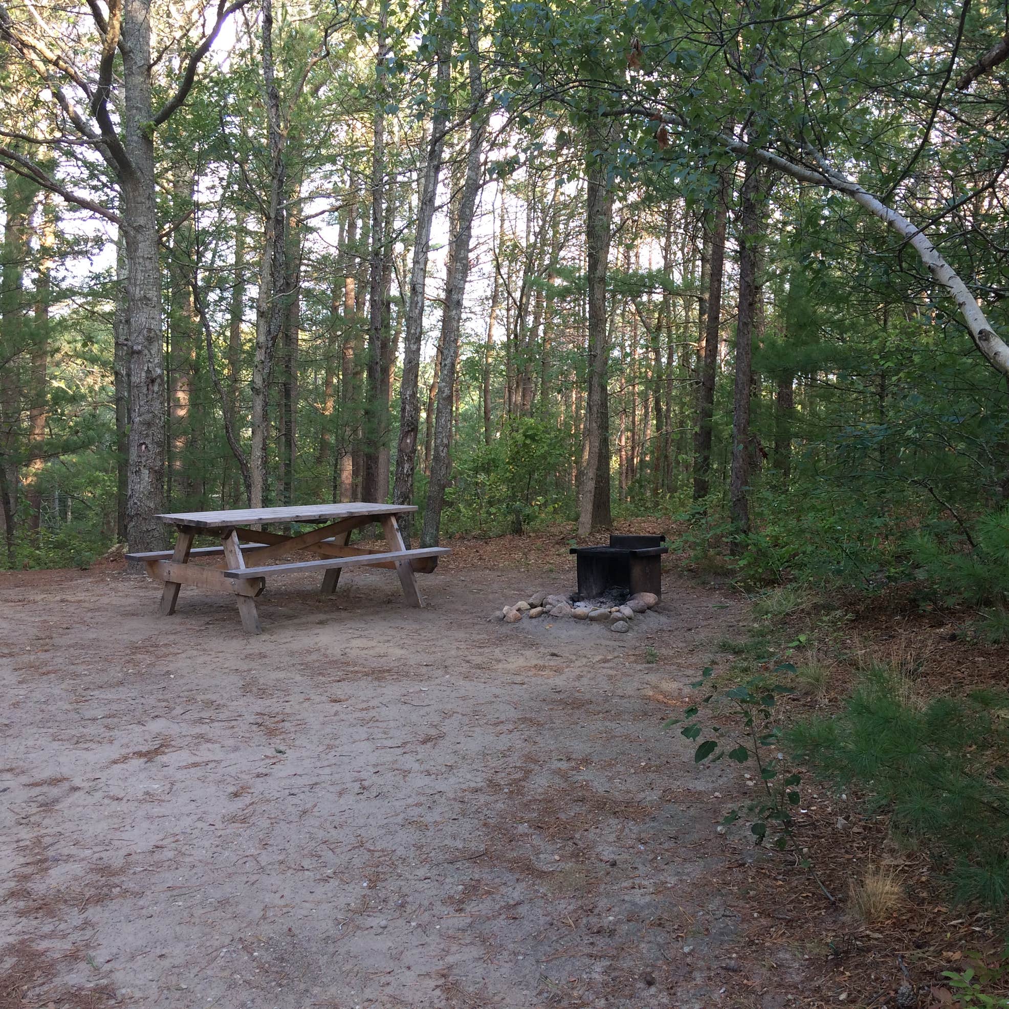 Shawme Crowell State Forest Camping | The Dyrt