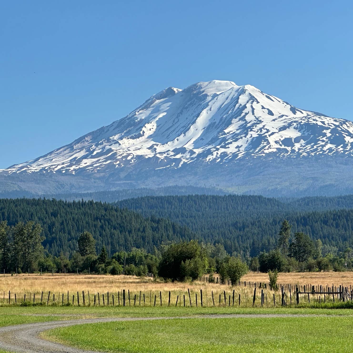 Hollenbeck Park Camping | Trout Lake, Washington