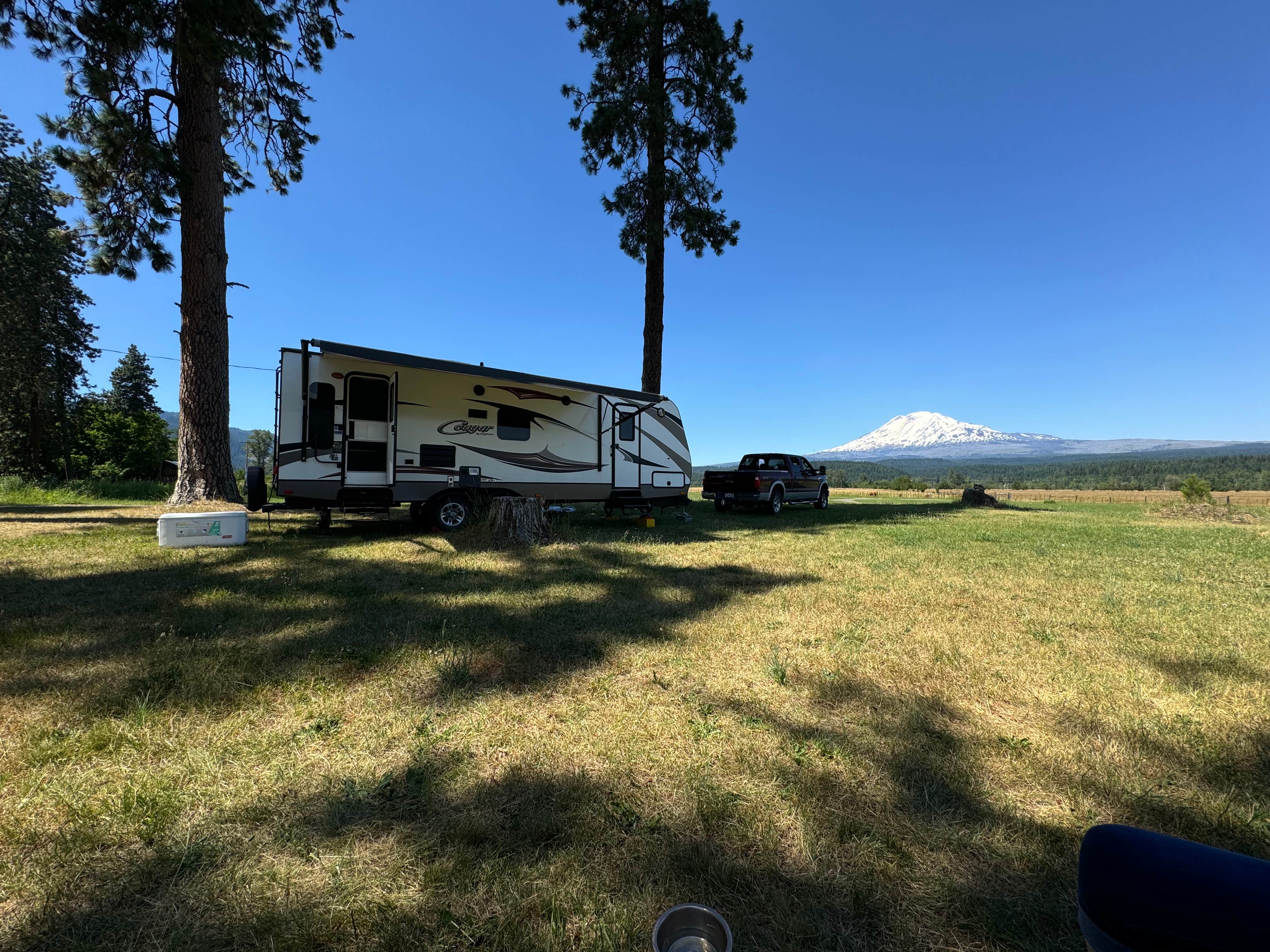 Hollenbeck Park Camping | Trout Lake, Washington