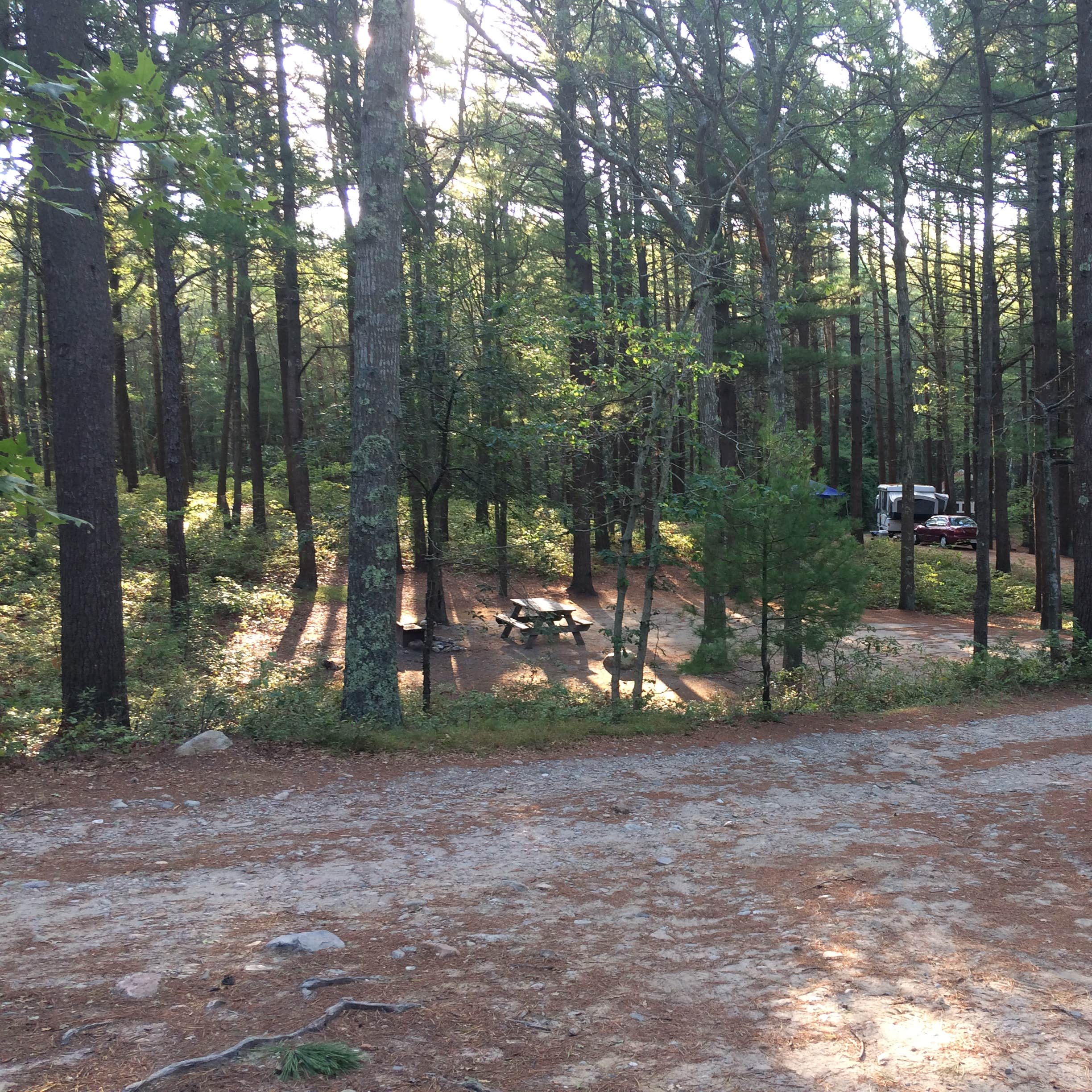 Shawme Crowell State Forest Camping | The Dyrt