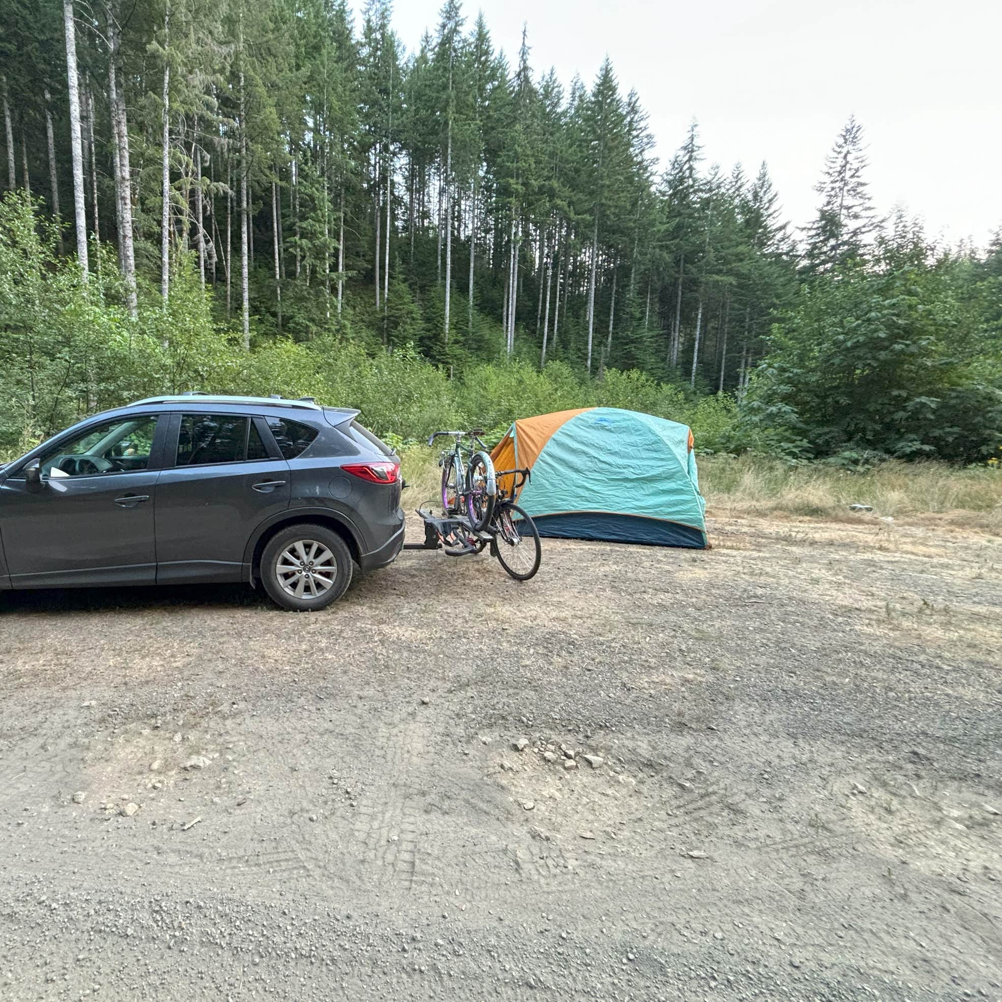 Olympic National Forest Dispersed Camping | Matlock, Washington
