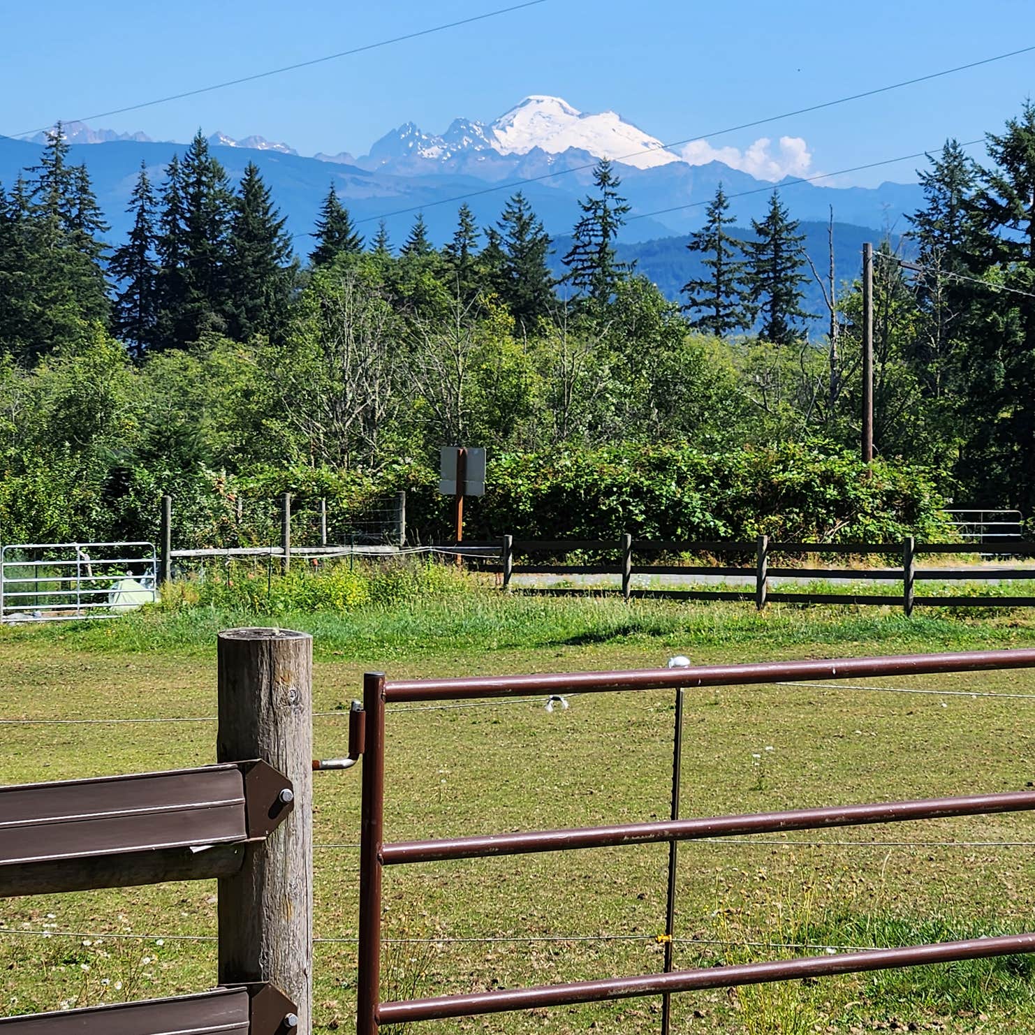 Greenstone Farm Camping | Mount Vernon, Washington
