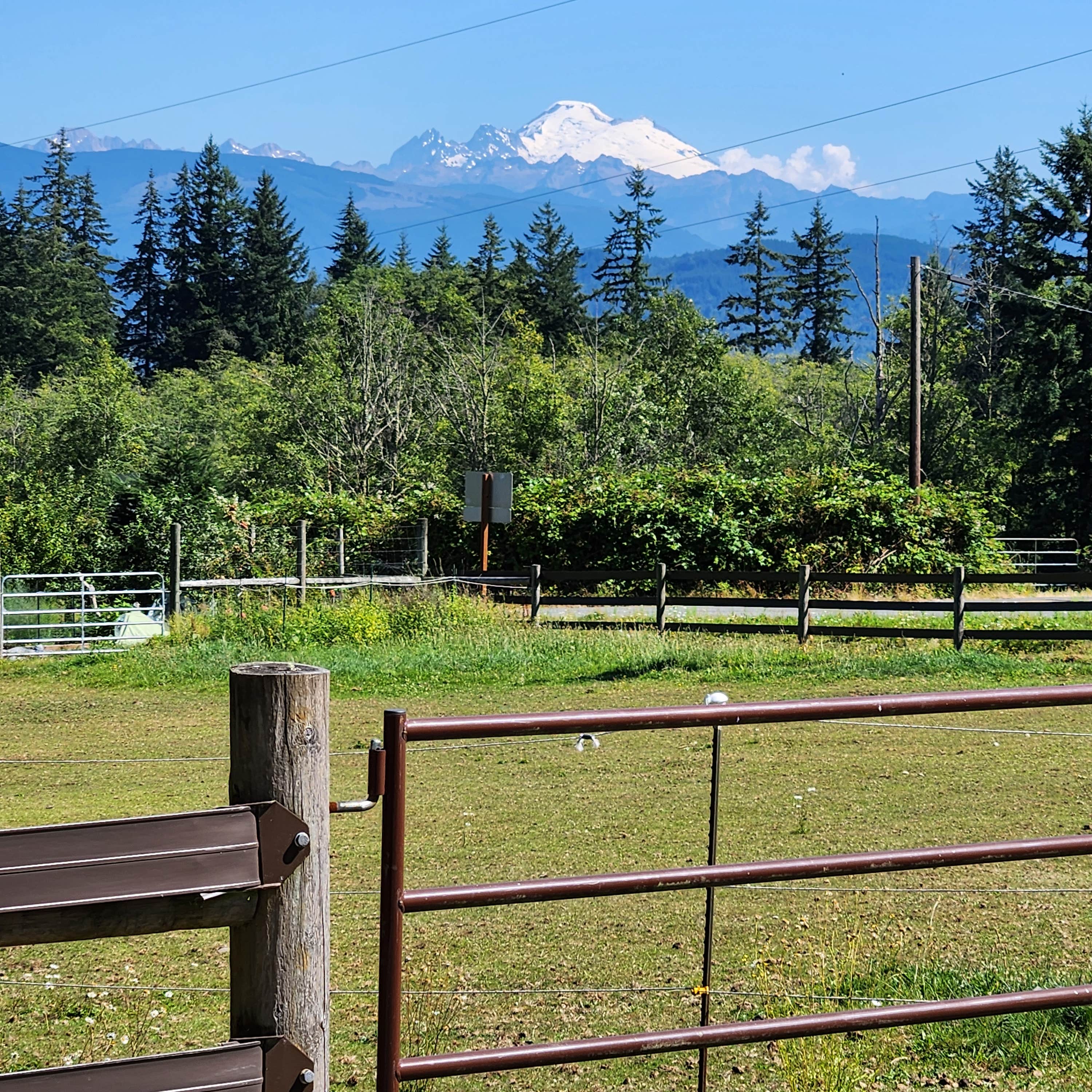 Greenstone Farm Camping | Mount Vernon, Washington