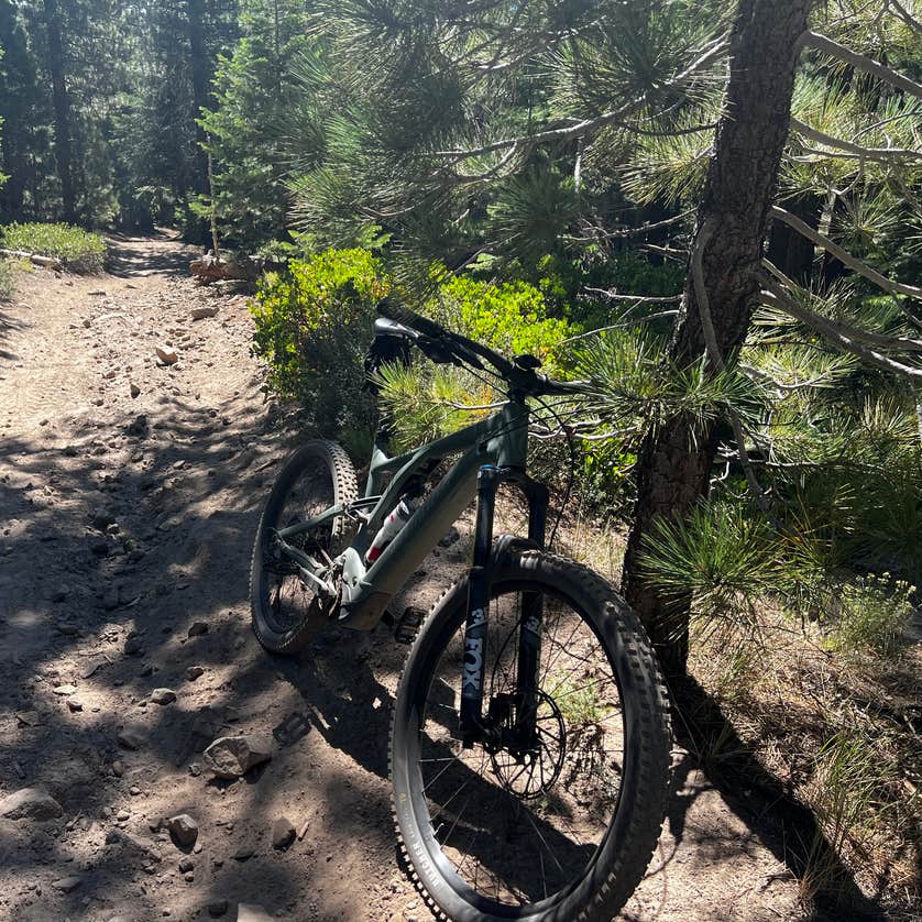 Mammoth Mountain RV Park & Campground | Mammoth Lakes, California