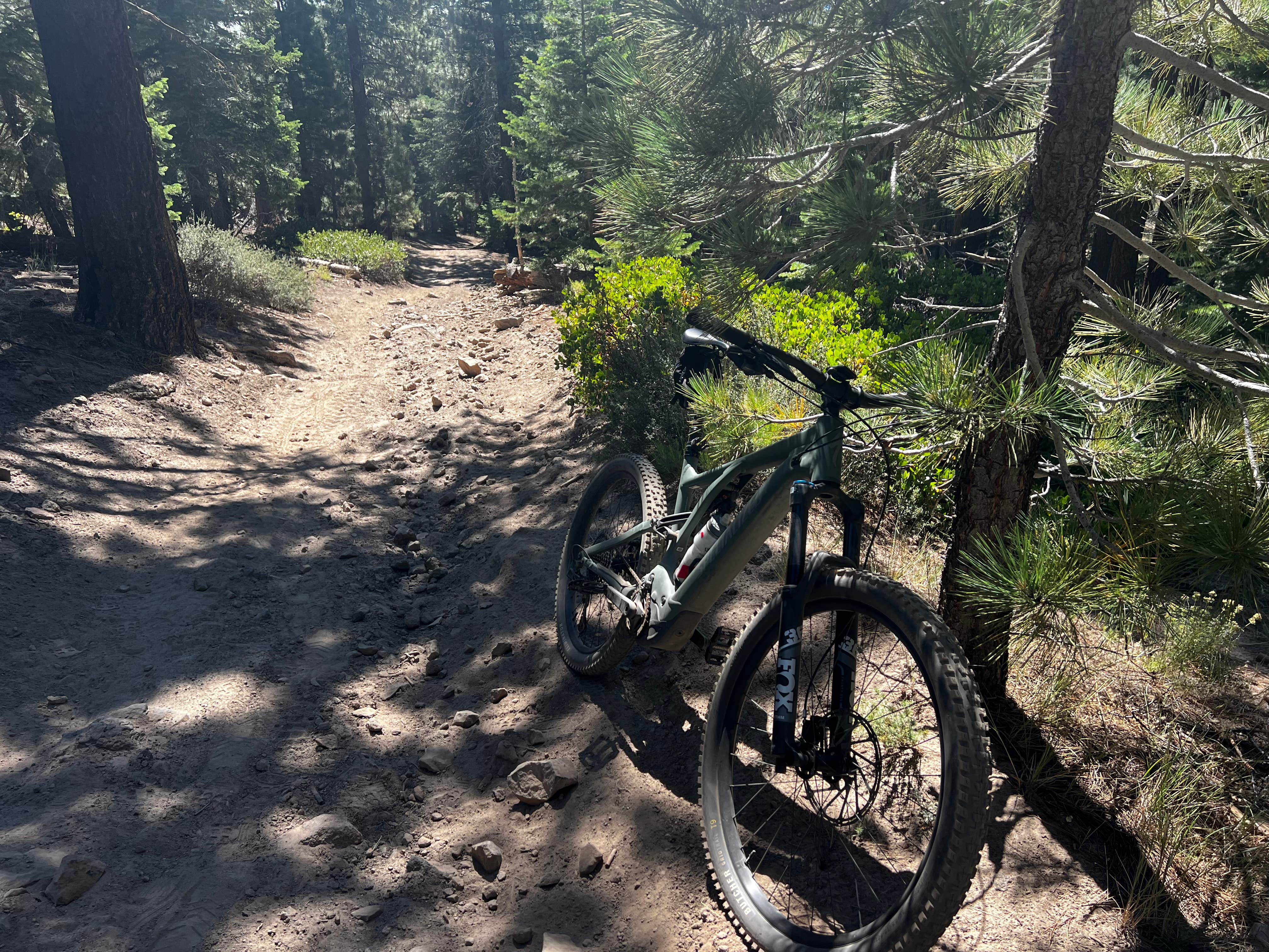 Mammoth Mountain RV Park & Campground | Mammoth Lakes, California