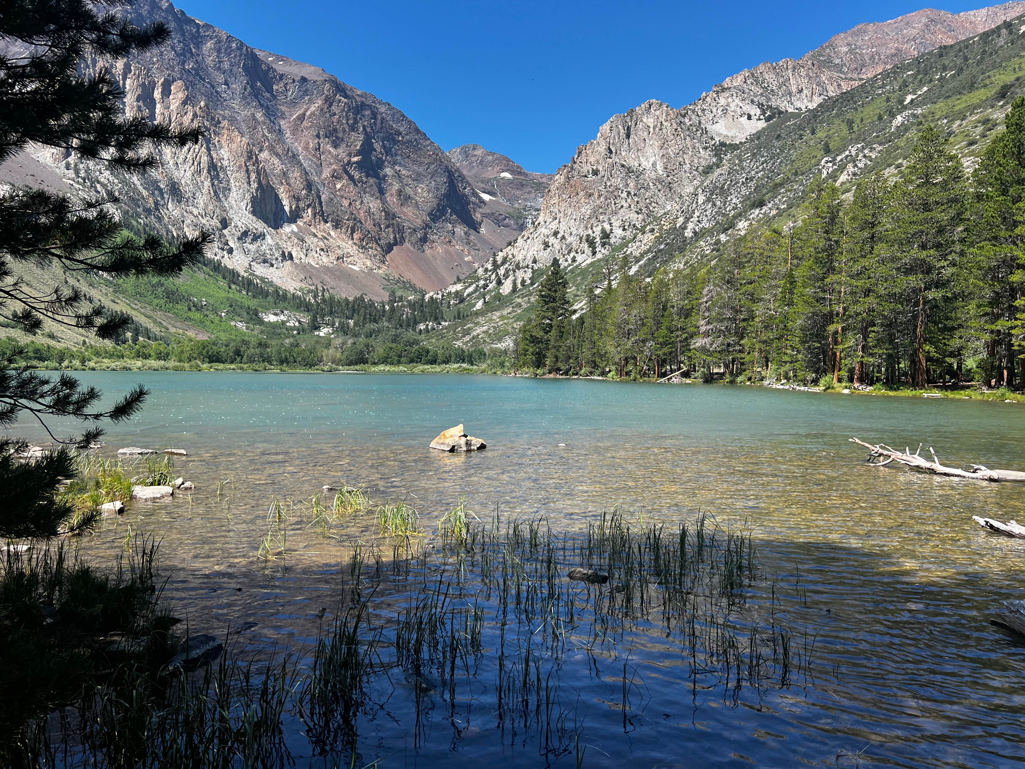 THE 10+ BEST Campgrounds near Inyo National Forest