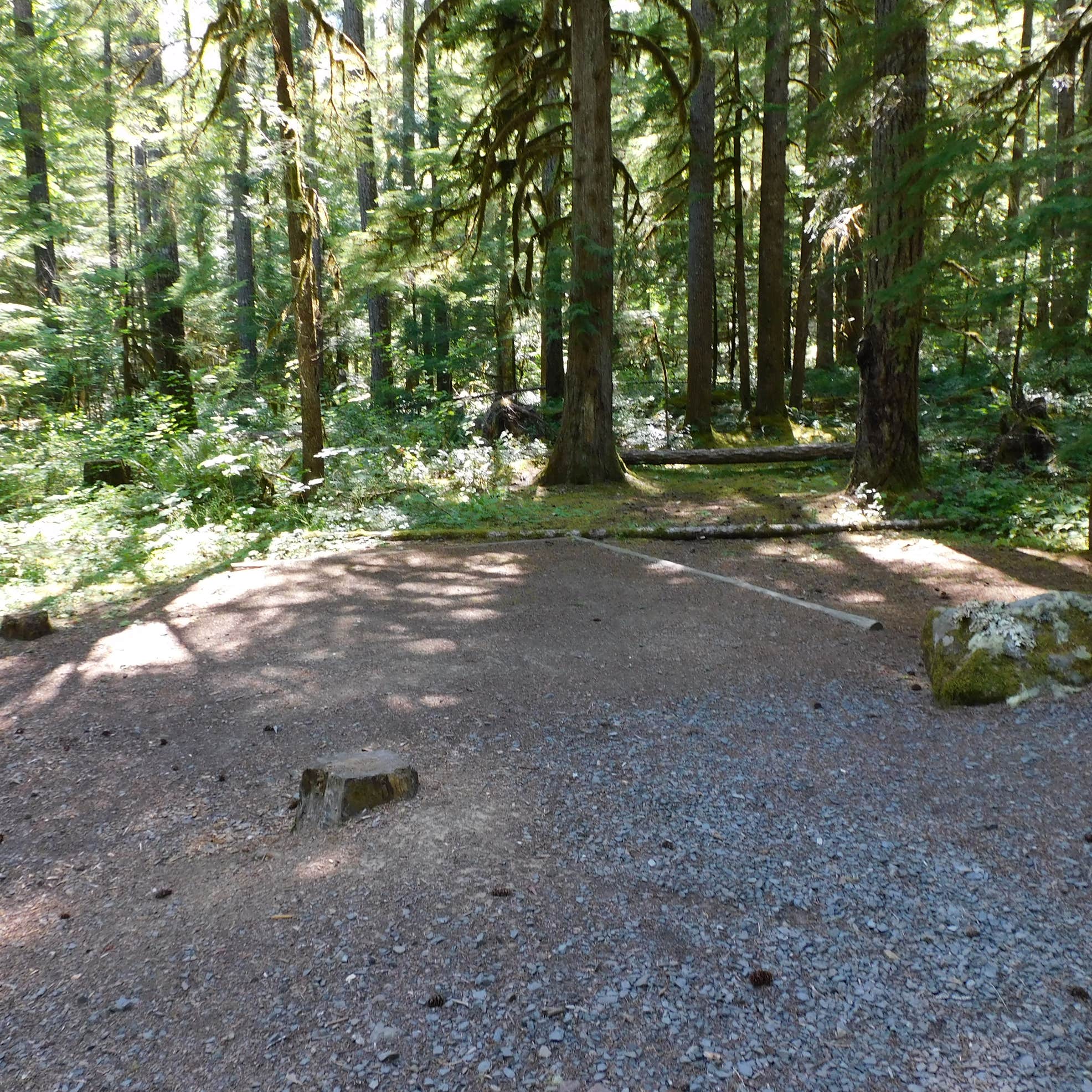 Panther Creek Campground | Carson, Washington