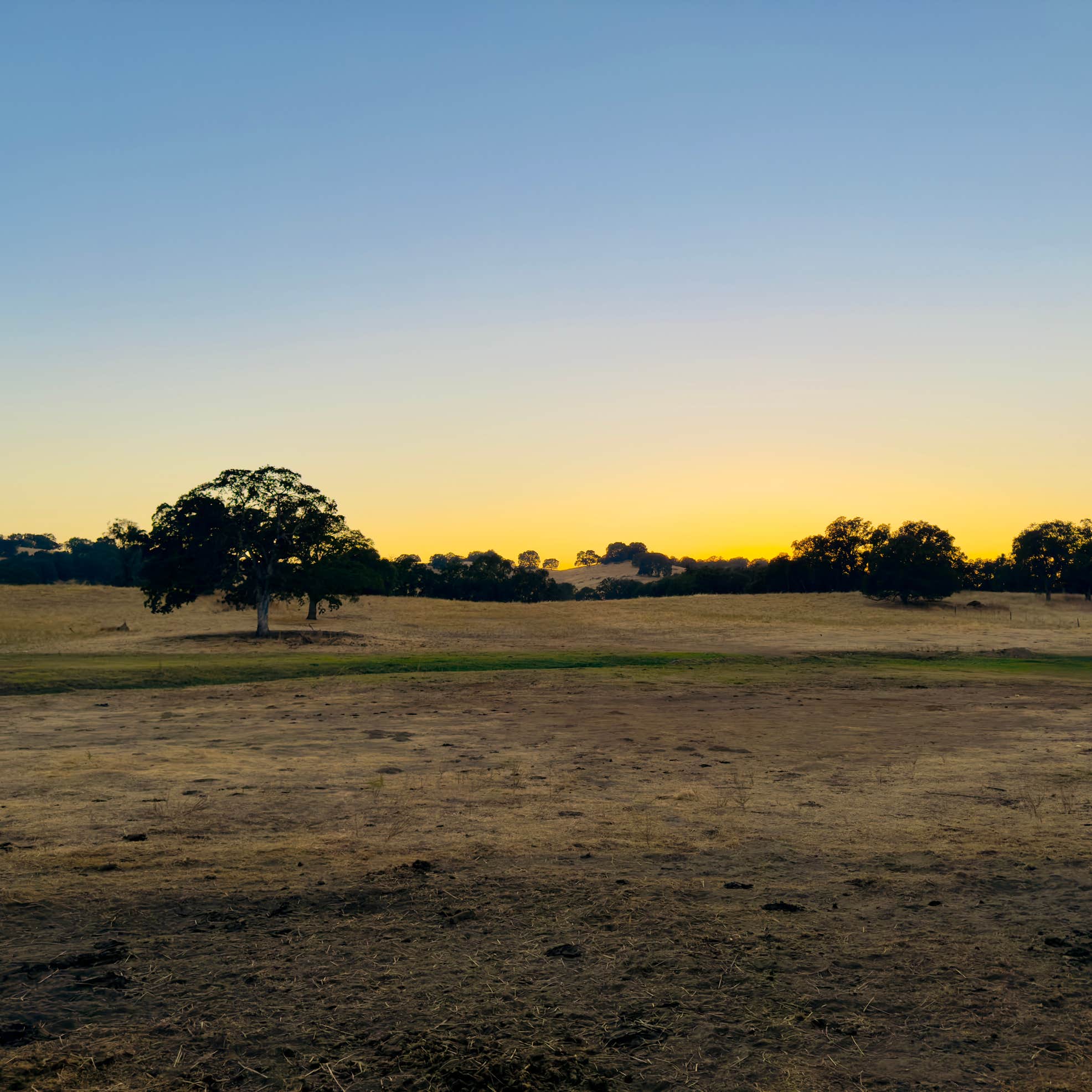 49er Village RV Resort | Sutter Creek, California