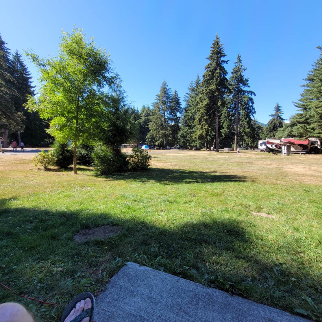 Dosewallips State Park Campground | Brinnon, Washington